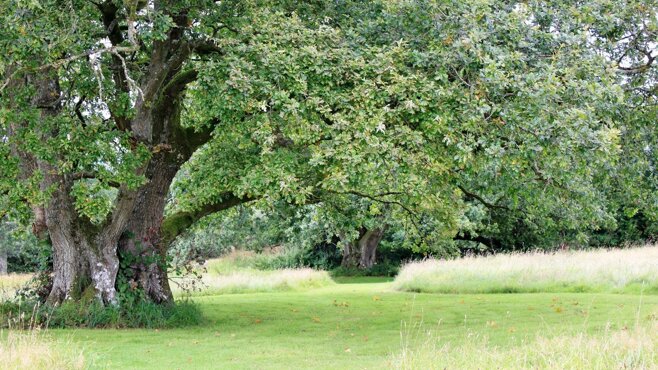 Acorns Naturist Retreat | Alan Rogers