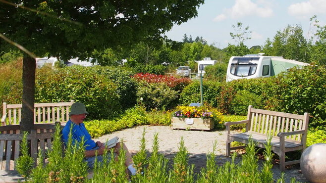 New Forest Caravan and Motorhome Club Centenary Site | Alan Rogers