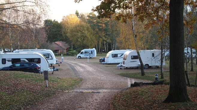 The Sandringham Estate Caravan and Motorhome Club Site | Alan Rogers