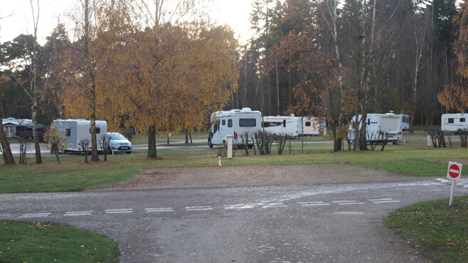 The Sandringham Estate Caravan and Motorhome Club Site | Alan Rogers