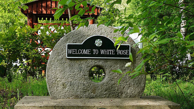 White Rose Naturist Club | Alan Rogers