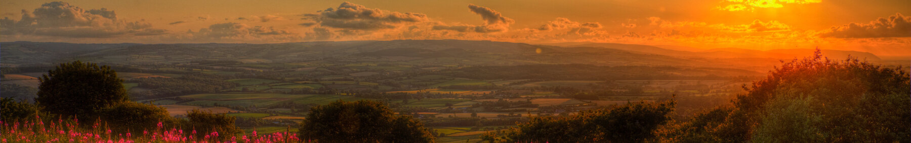 Best campsites for the Blackdown Hills AONB | Alan Rogers
