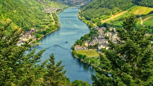 Forests of the Ardennes | Alan Rogers