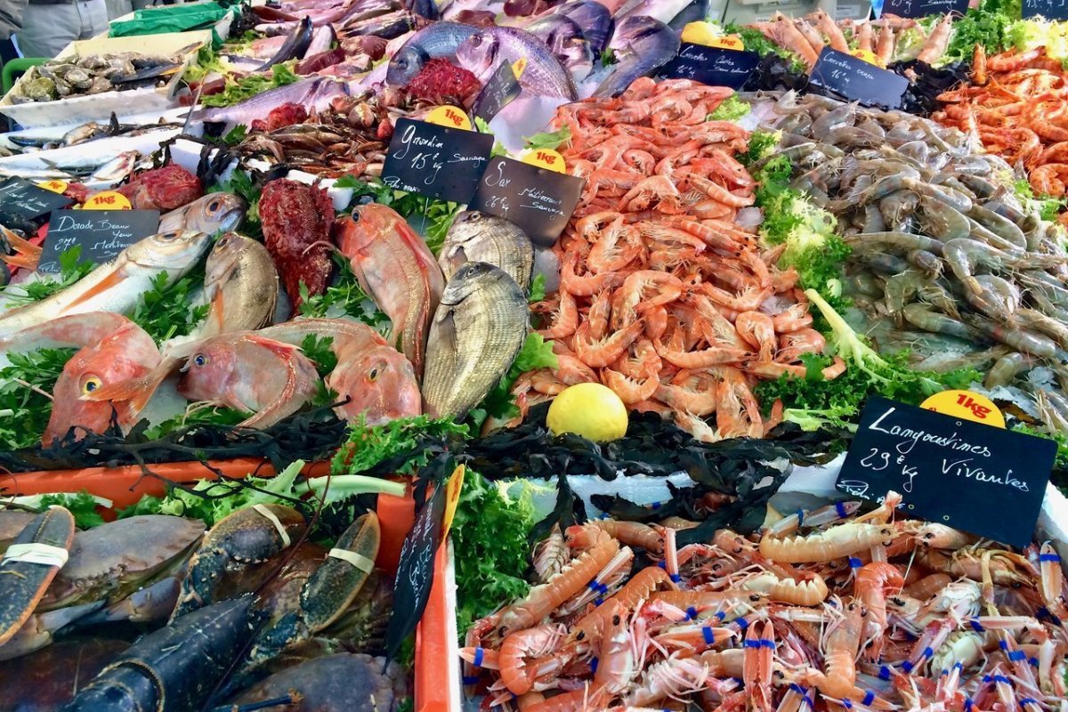 Seafood of Normandy | Alan Rogers