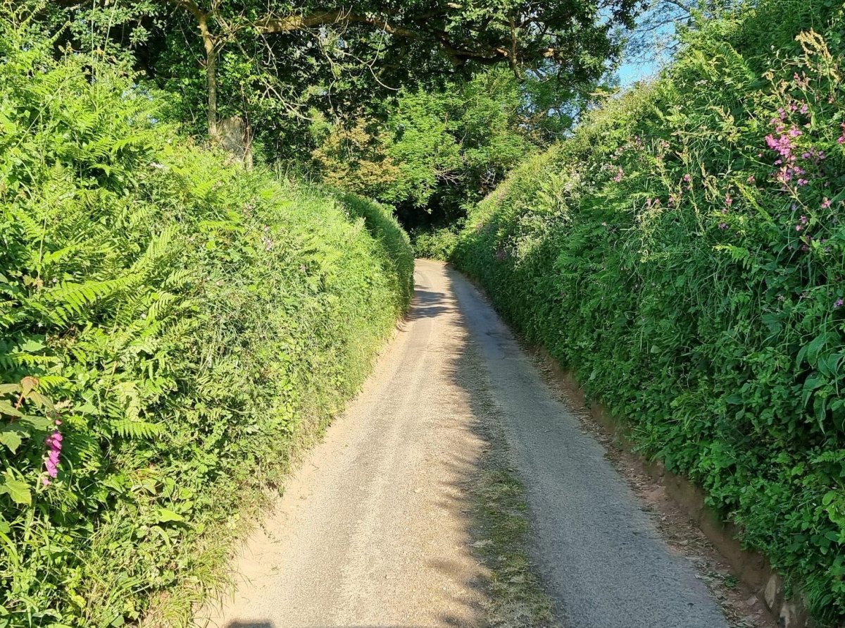 Unveiling Devon's Colourful Road Signs: Navigating the Hidden Code ...